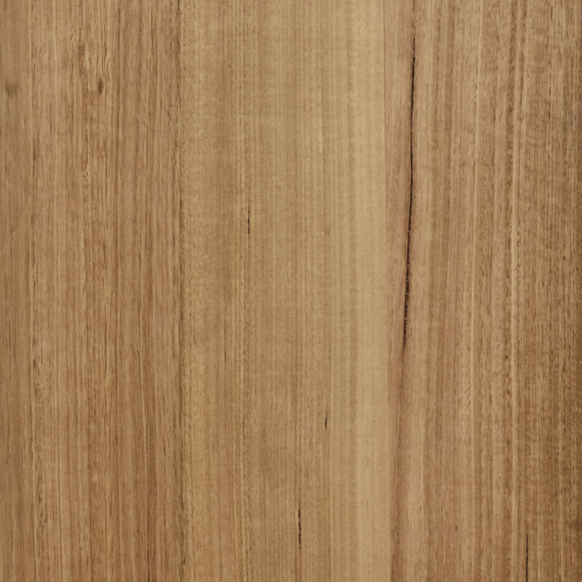 Tasmanian Oak | Southern Timber Floors