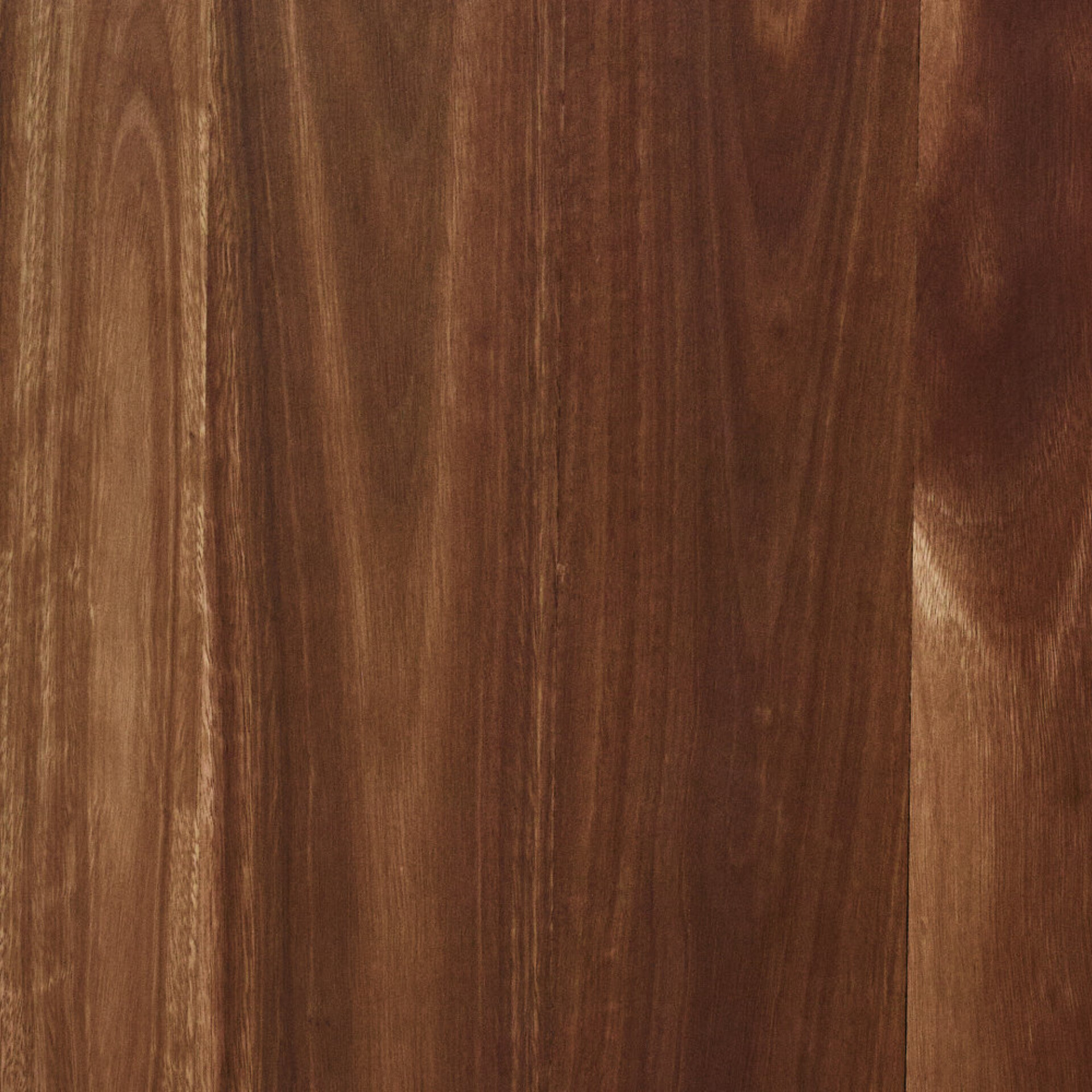Spotted Gum | Southern Timber Floors